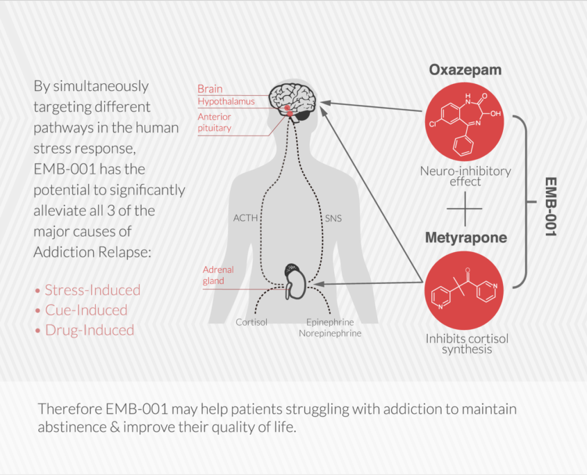 Embera Neuro – Embera Neuro